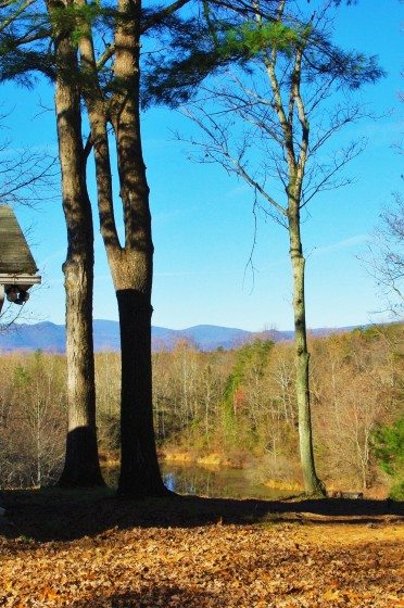 40 acres for sale with Blue Ridge views, pond and cottage