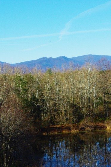 40 acres for sale with Blue Ridge views, pond and cottage