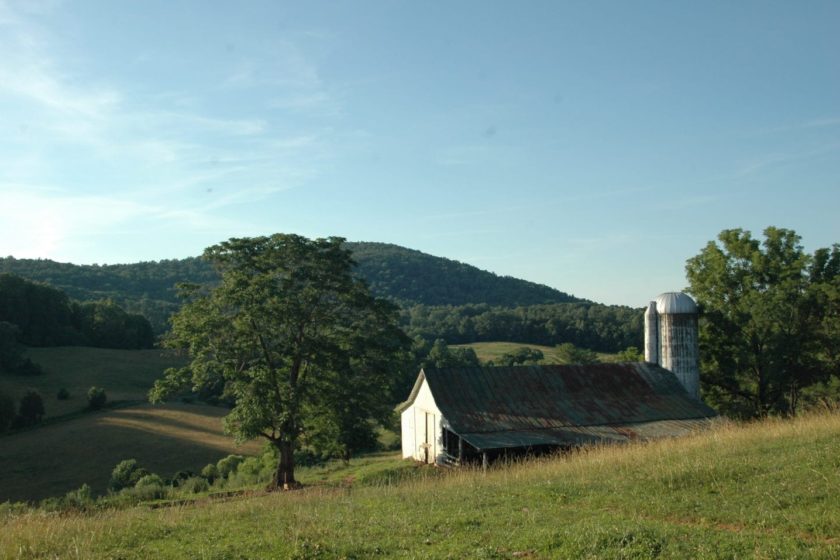 Castleton Farm - Cheri Woodard Realty